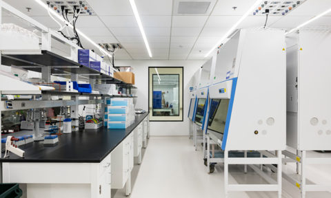 Cell & Gene Therapy Manufacturing Lab - DECCO